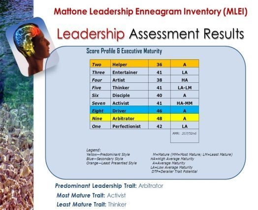 Mattone Leadership Enneagram Inventory (MLEI) – Omega Mindset Consulting